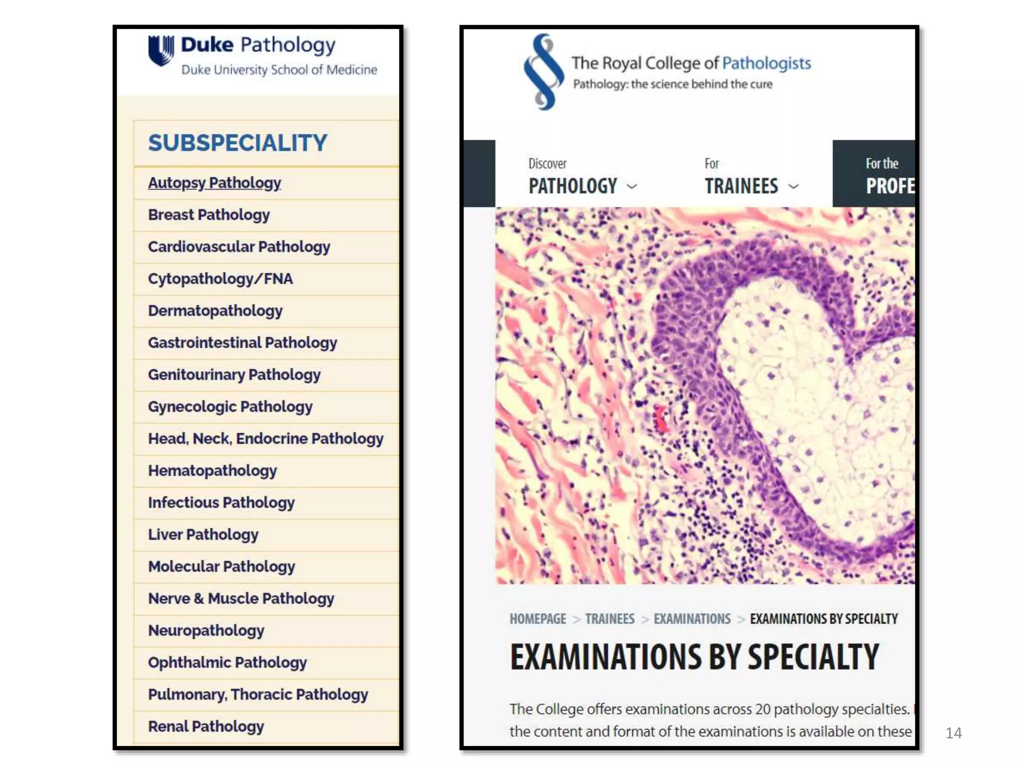 Introduction to pathology (2).pptx