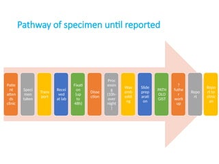 Introduction to Pathology Reporting.ppsx