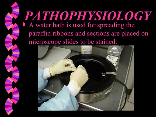 Introduction to pathophysiology | PPT