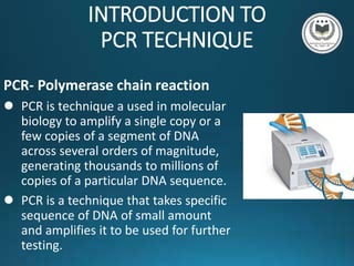 Introduction to PCR technique | PPT