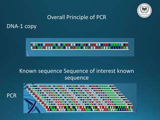 Introduction to PCR technique | PPT