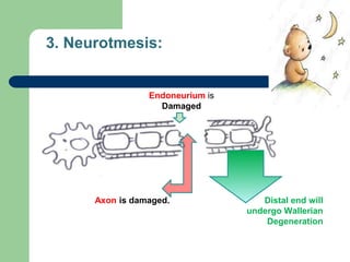 Introduction to periphral nervous sys | PPT