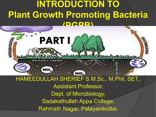 Introduction to Plant growth Promoting Bacteria (PGPB) | PPTX ...