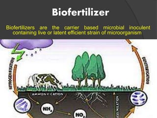 Introduction to Plant growth Promoting Bacteria (PGPB) | PPTX