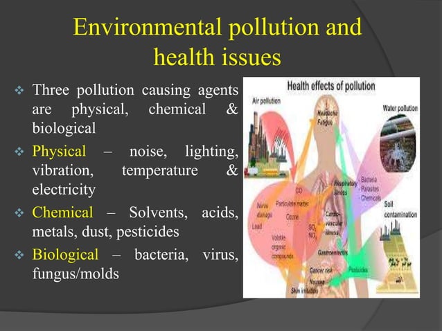 Introduction to Plant growth Promoting Bacteria (PGPB) | PPTX ...