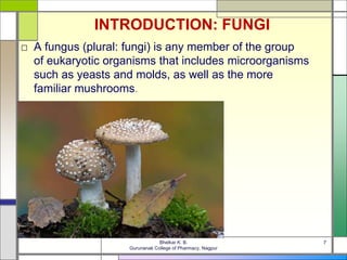 Introduction to Pharmaceutical Microbiology | PPTX | Biological ...