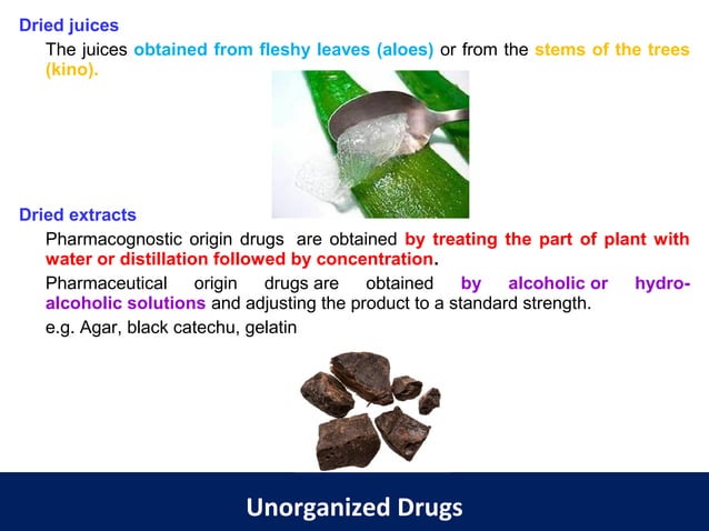 Introduction to Pharmacognosy | PPT | Chemistry | Science