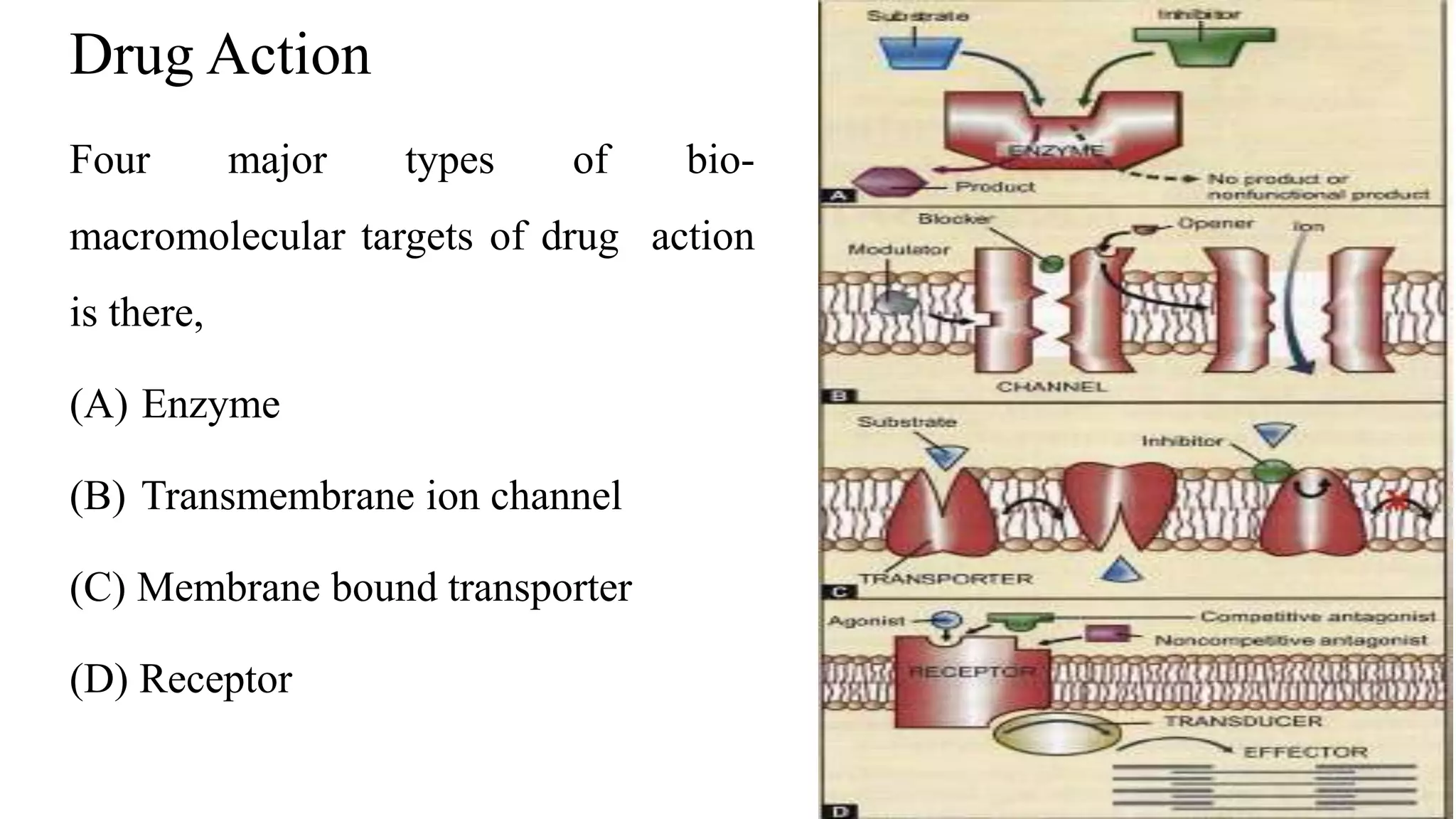 Introduction to pharmacokinetics and pharmacodynamics principles | PPTX