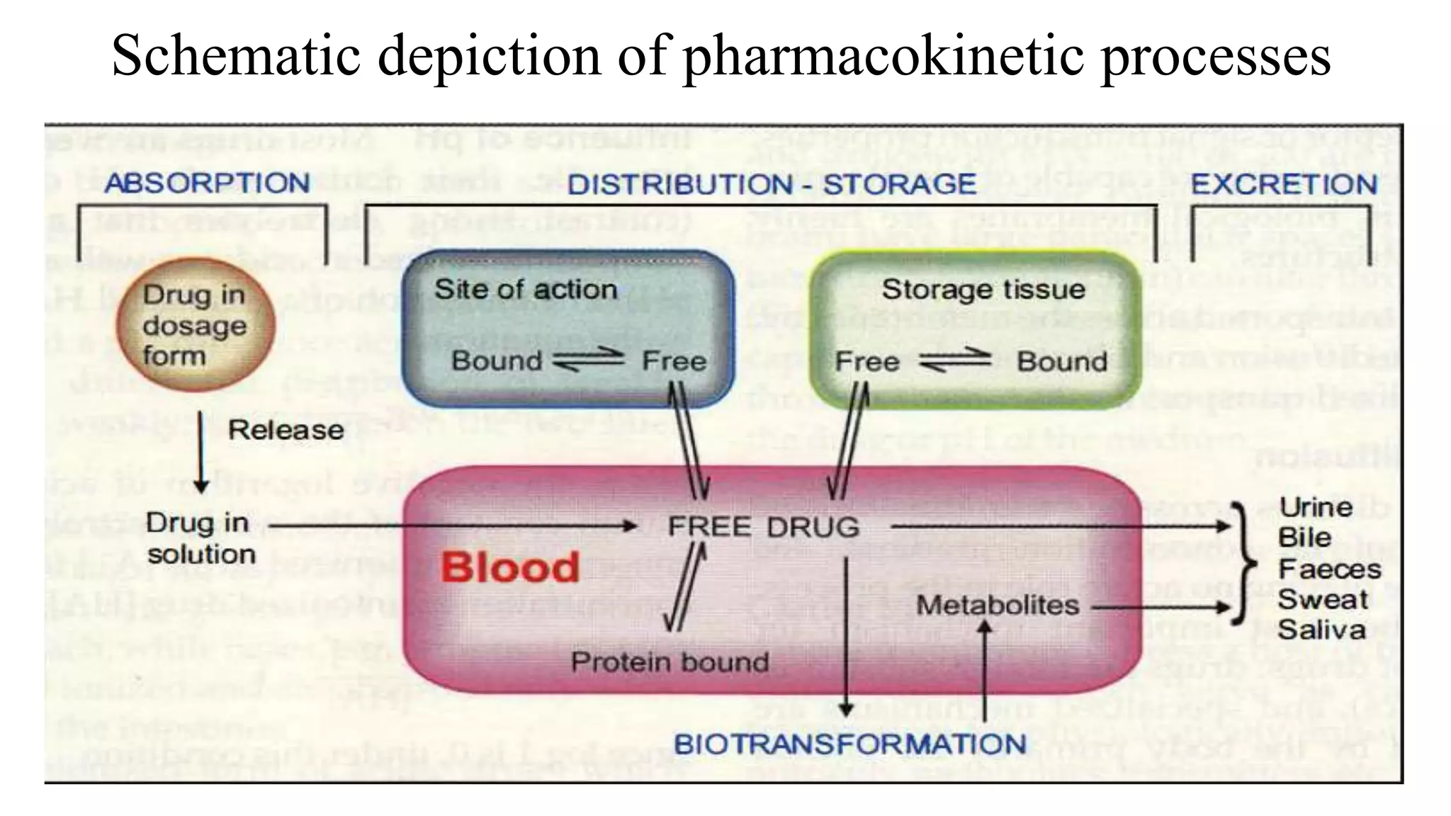 Introduction to pharmacokinetics and pharmacodynamics principles | PPTX