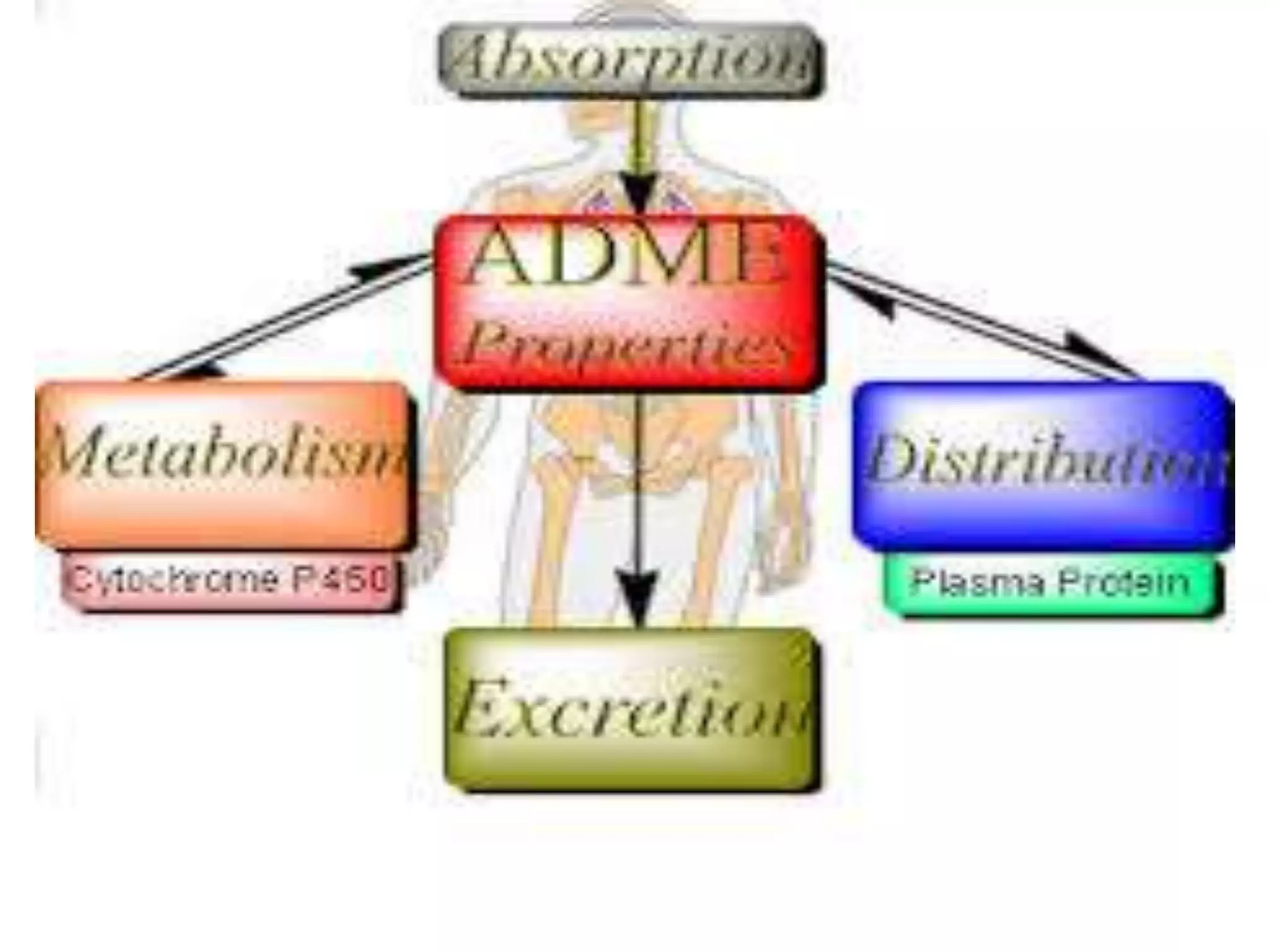 Introduction to pharmacokinetics & pharmacodynamics, drug interactions ...