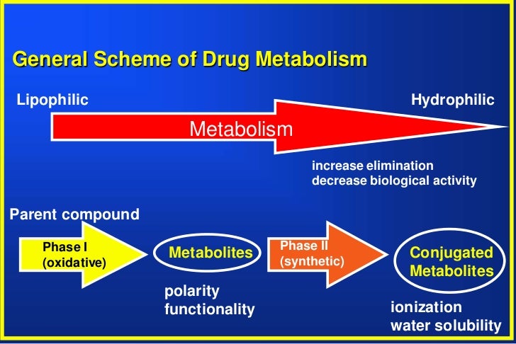 Introduction to pharmacology and drug metabolism