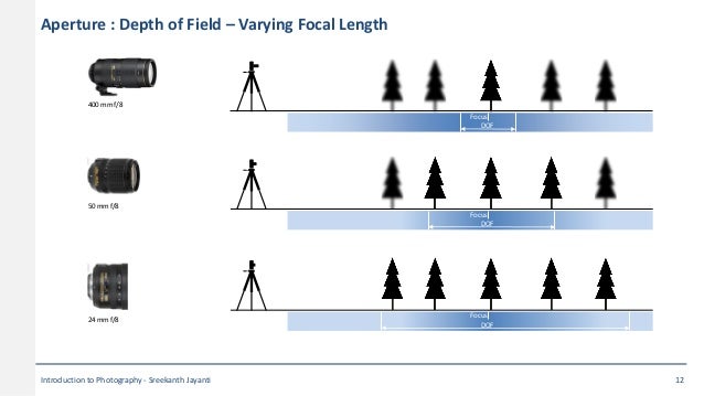 Introduction to Photography