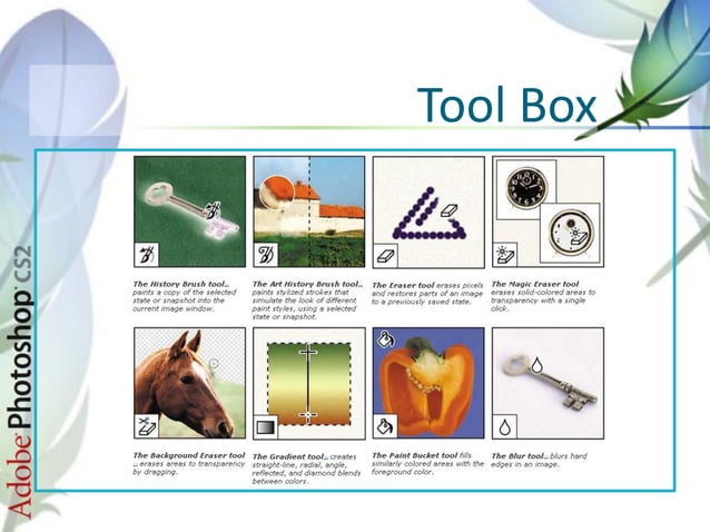 Introduction To Photoshop | PDF