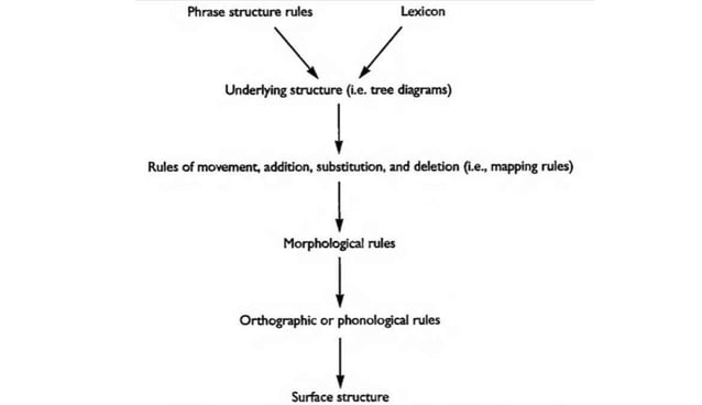 Introduction to Phrase Structure | PPTX | Programming Languages | Computing