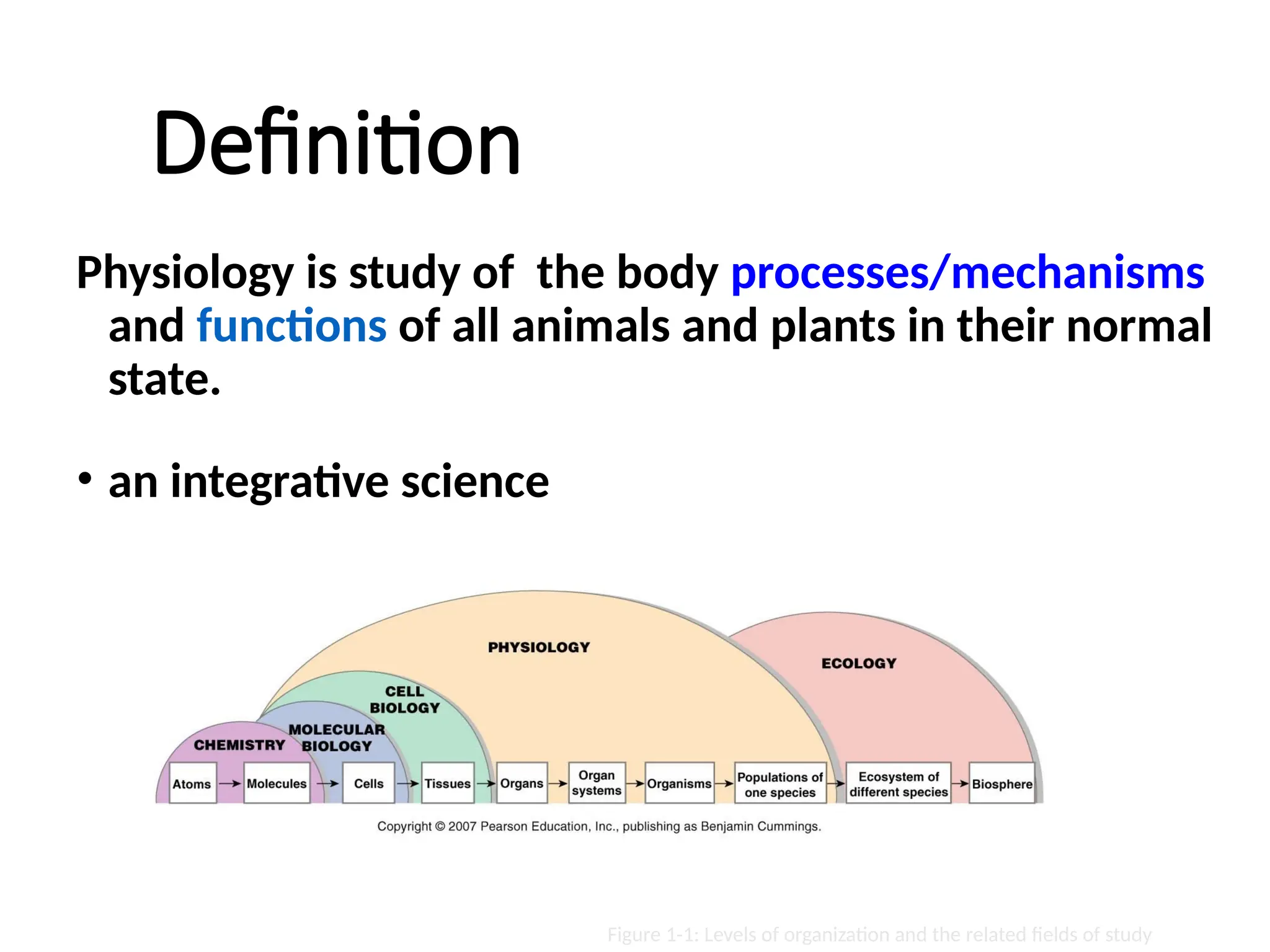 INTRODUCTION TO PHYSIOLOGY.ppppppppppptx | PPTX