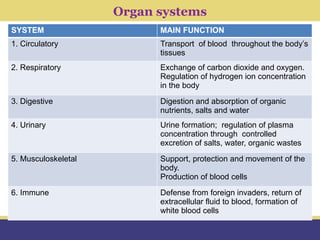 Introduction to medical physiology MBCHB | PPTX