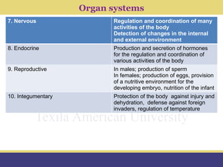 Introduction to medical physiology MBCHB | PPT
