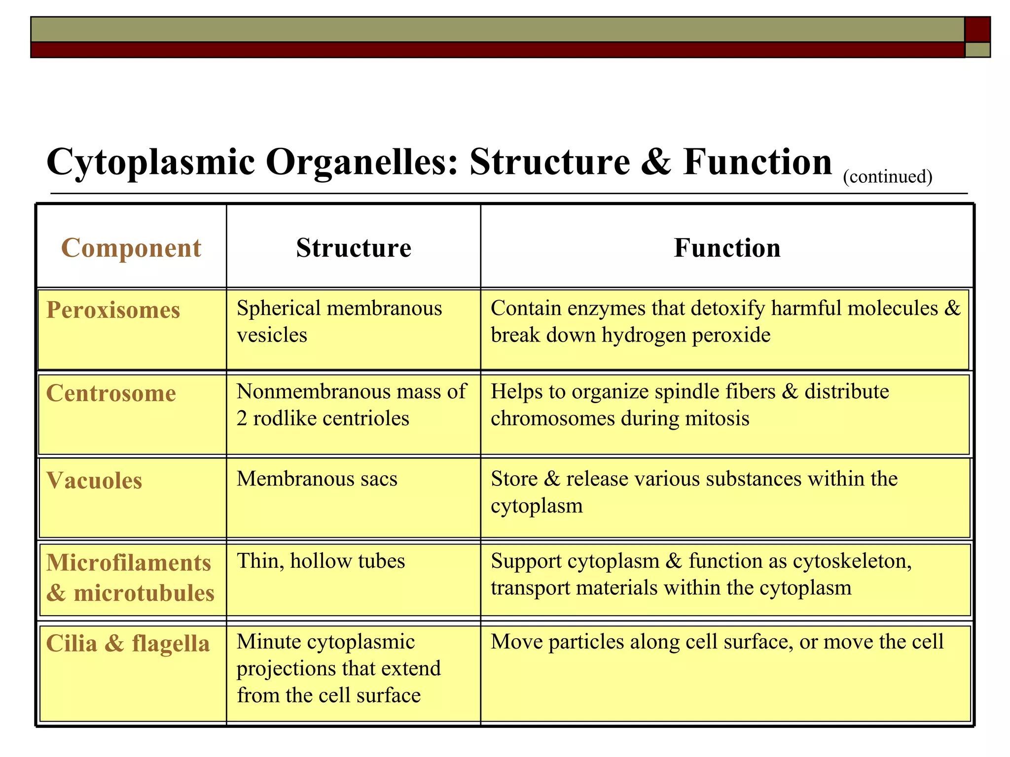 Introduction to physiology lecture | PPT