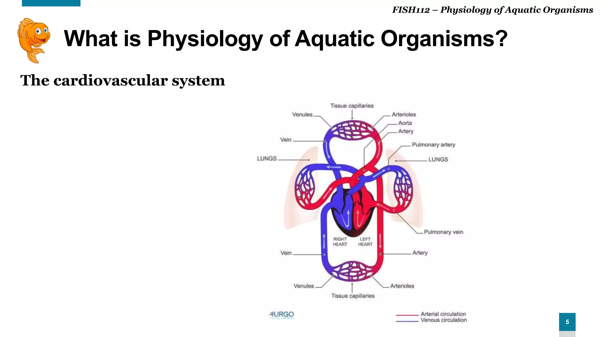 Introduction to Physiology of Aquatic Organisms.pptx
