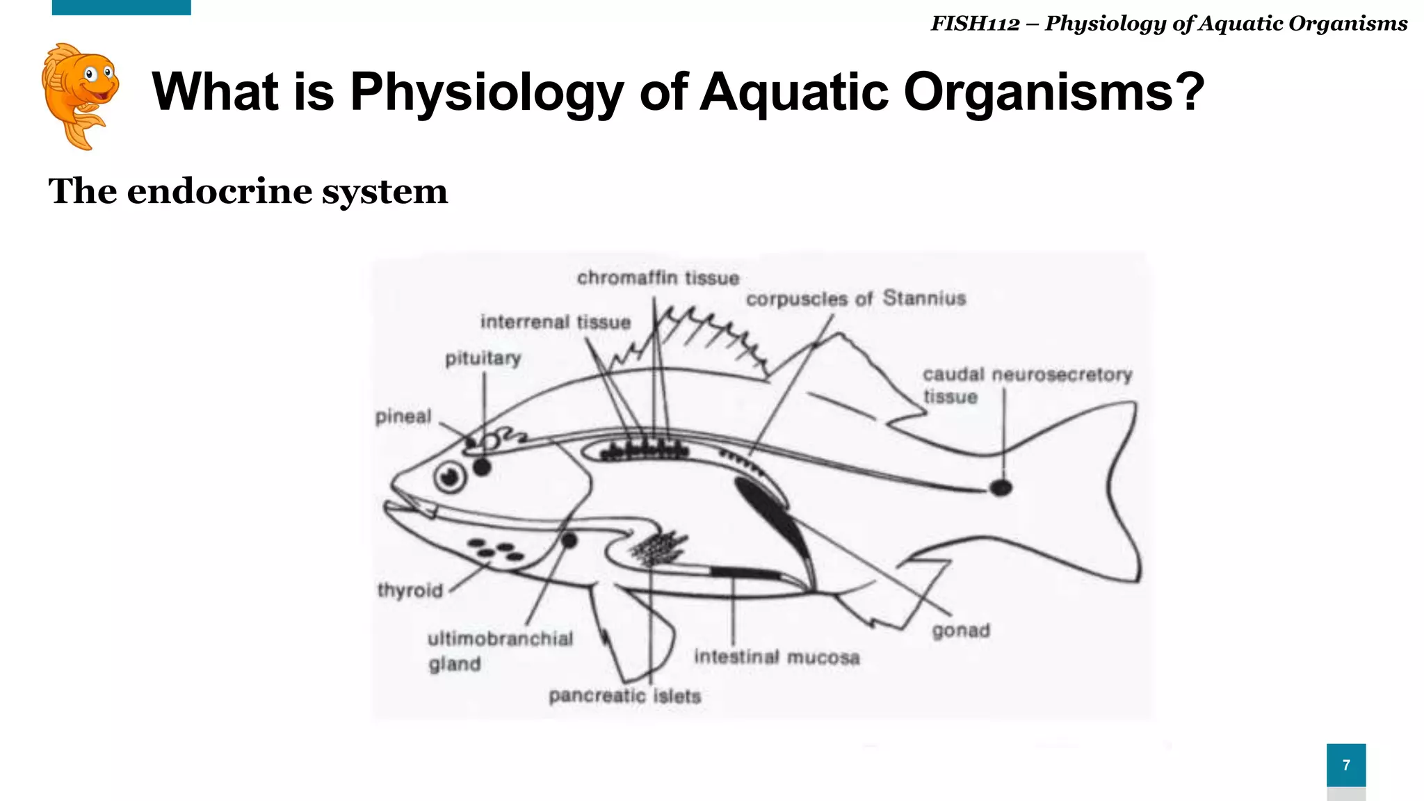 Introduction to Physiology of Aquatic Organisms.pptx