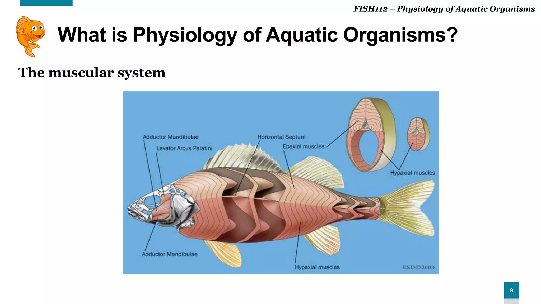 Introduction to Physiology of Aquatic Organisms.pptx