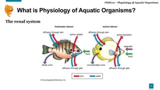 Introduction to Physiology of Aquatic Organisms.pptx