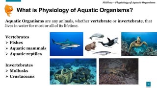 Introduction to Physiology of Aquatic Organisms.pptx