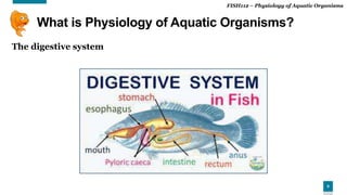 Introduction to Physiology of Aquatic Organisms.pptx