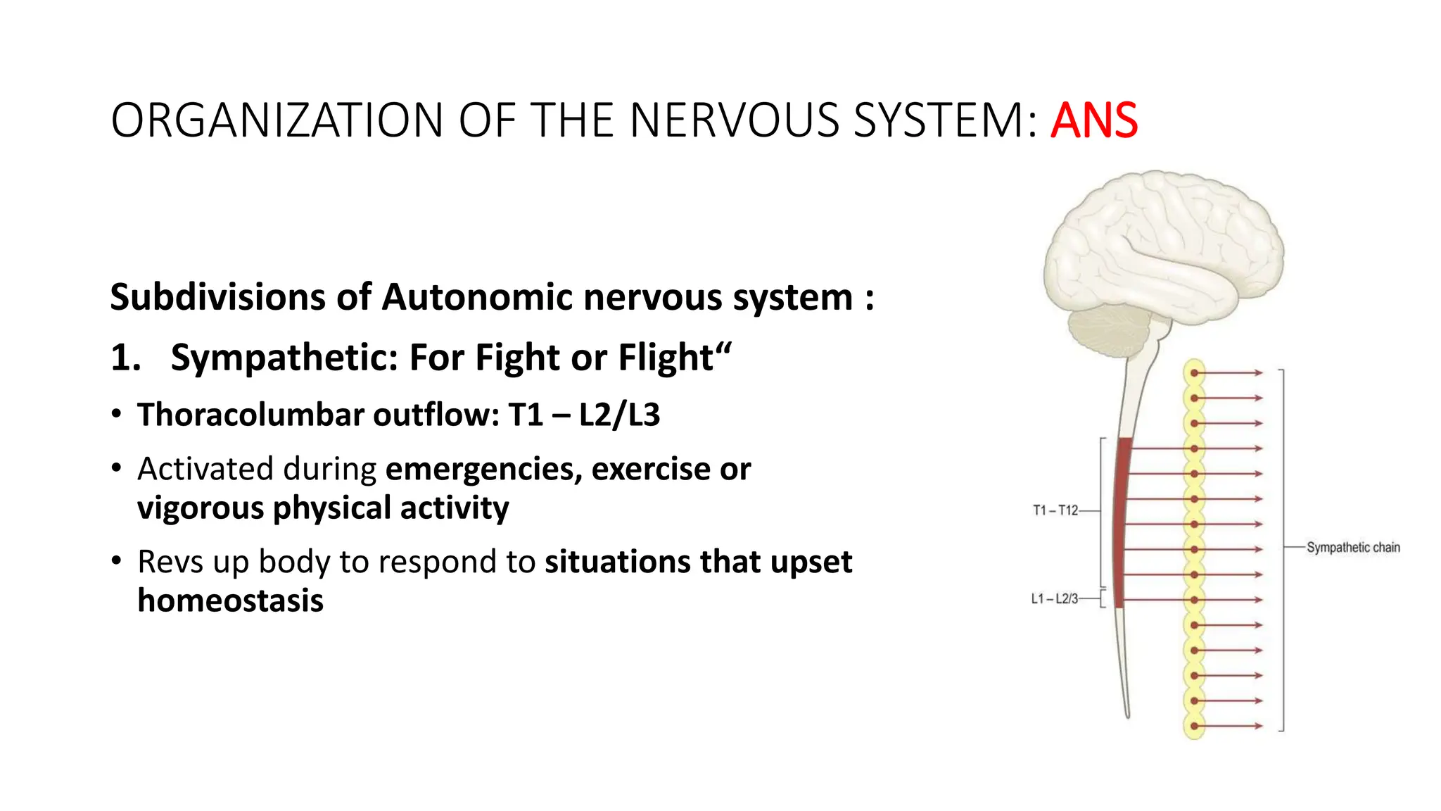 iNTRODUCTION TO PHYSIOLOGY OF NERVOUS SYSTEM.ppt