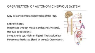 iNTRODUCTION TO PHYSIOLOGY OF NERVOUS SYSTEM.ppt