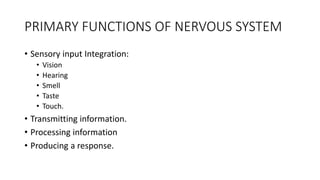 iNTRODUCTION TO PHYSIOLOGY OF NERVOUS SYSTEM.ppt