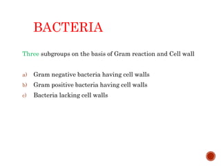 Introduction to Phytobacteriology | PPTX