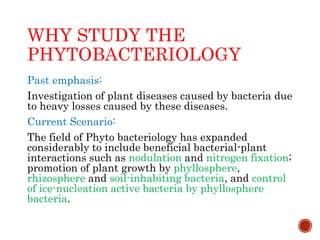 Introduction to Phytobacteriology | PPTX