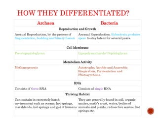 Introduction to Phytobacteriology | PPTX