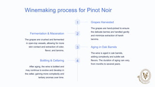 Introduction to Pinot Noir Wines | PPTX