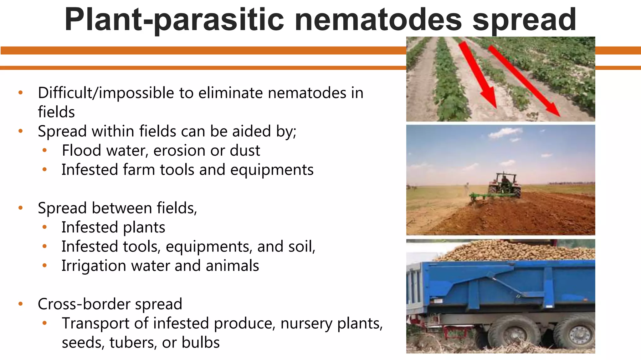 Introduction to plant-parasitic nematodes_.pptx