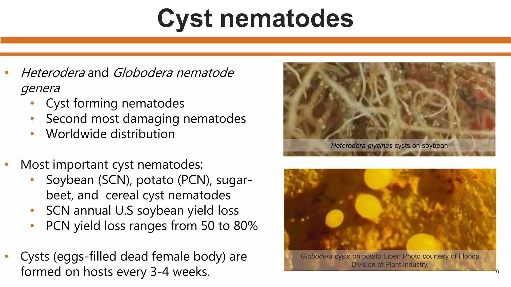 Introduction to plant-parasitic nematodes_.pptx