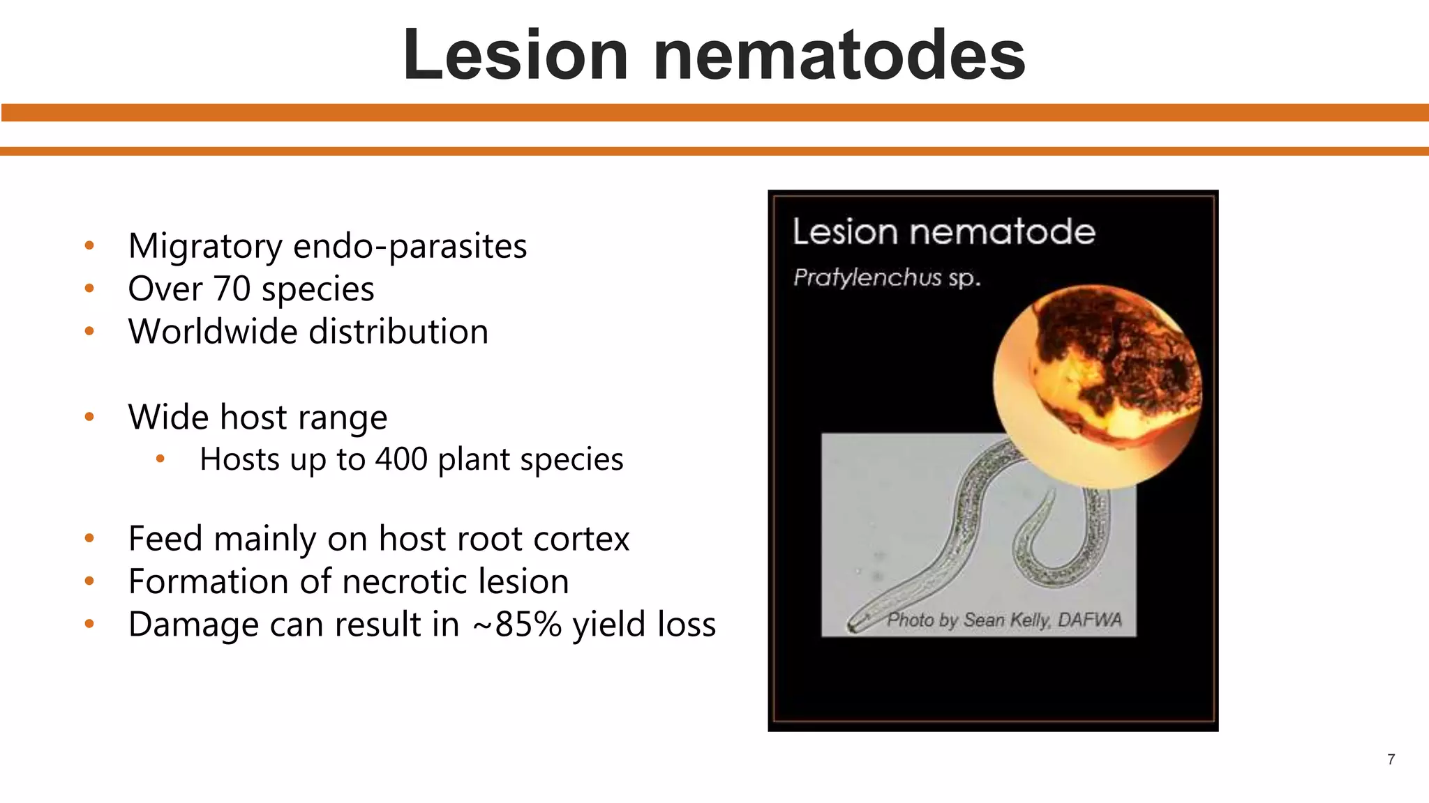Introduction to plant-parasitic nematodes_.pptx