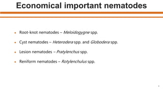 Introduction to plant-parasitic nematodes_.pptx