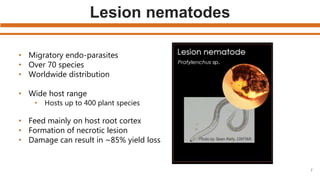 Introduction to plant-parasitic nematodes_.pptx