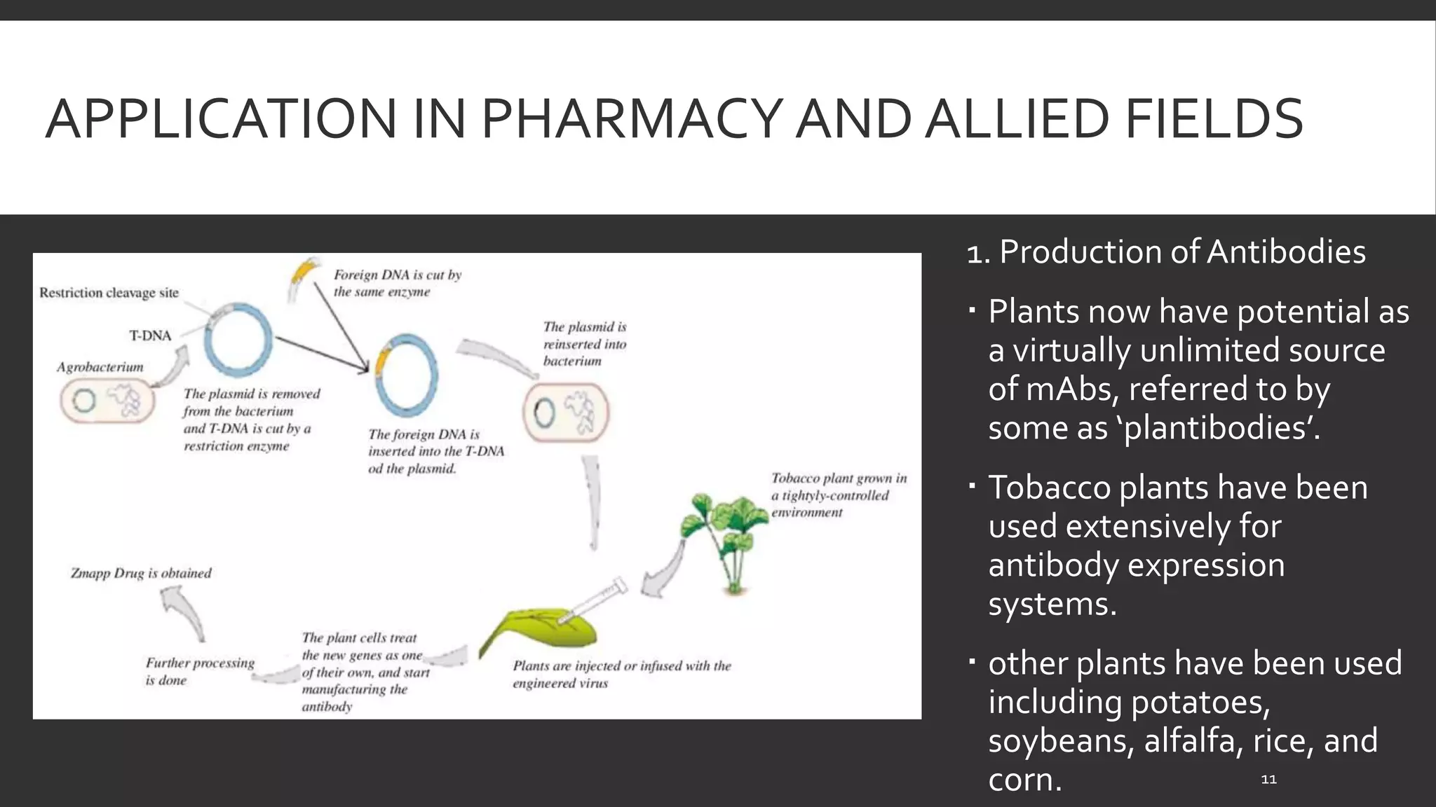 Introduction to Plant Biotechnology- Durgashree Diwakar | PPTX
