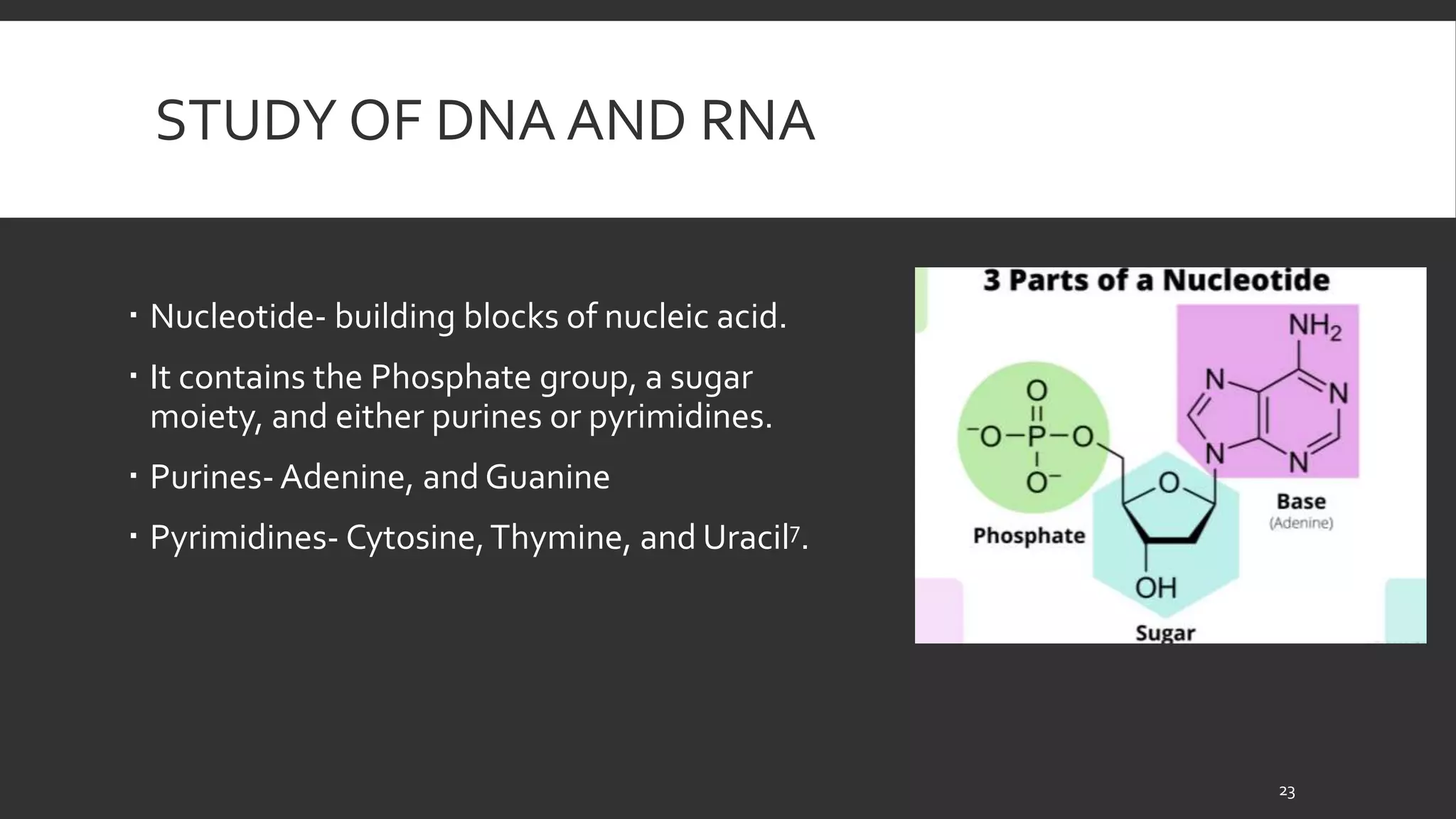 Introduction to Plant Biotechnology- Durgashree Diwakar | PPTX