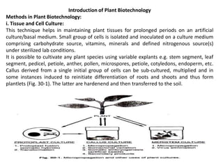 Introduction to plant biotechnology and plant tissue culture | PPTX