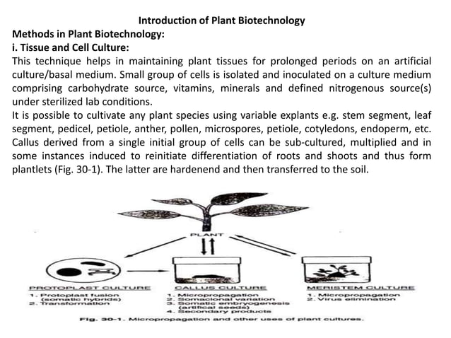 Introduction to plant biotechnology and plant tissue culture | PPT