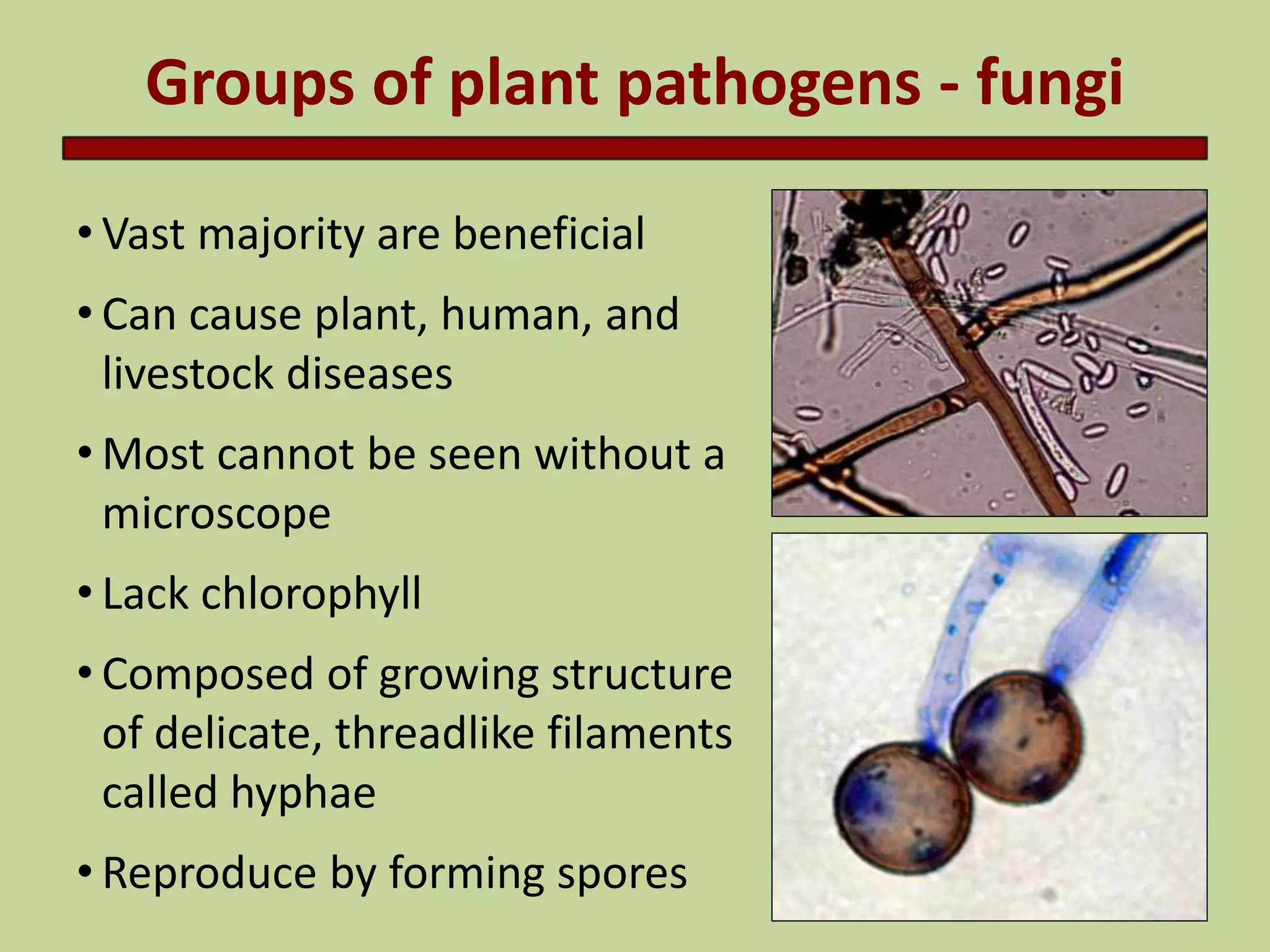 Introduction to Plant Disease.pptx