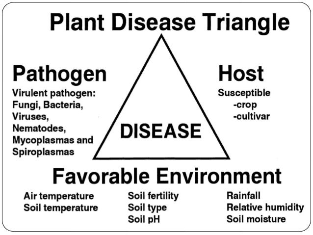 Introduction to plant_pathology