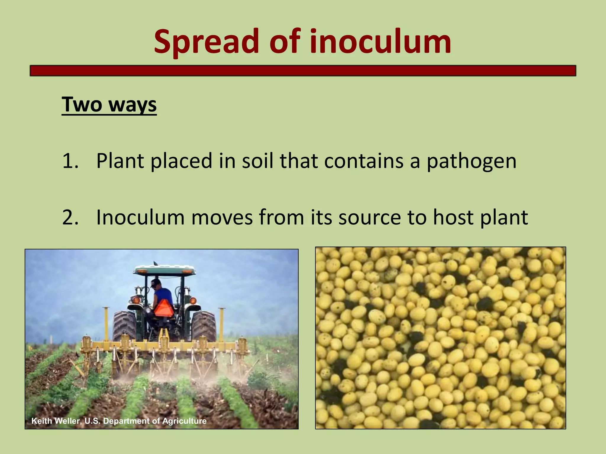 Introduction to Plant Pathology.pptx | Infectious Diseases | Diseases ...