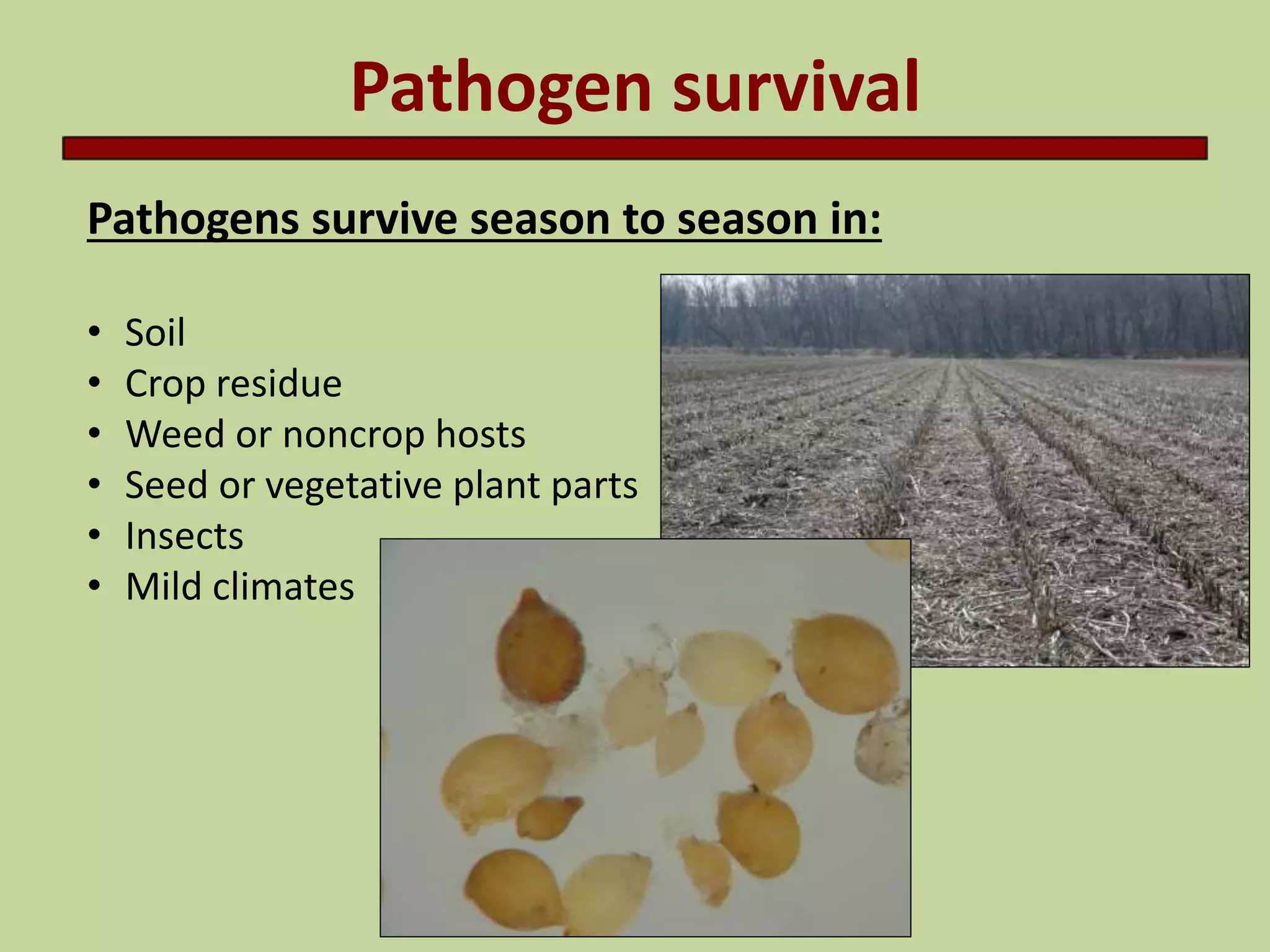 Introduction to Plant Pathology.pptx | Infectious Diseases | Diseases ...