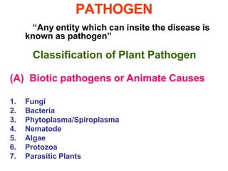 Introduction to plant pathology and basic | PPTX