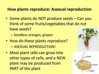 Introduction to plant reproduction | PPTX